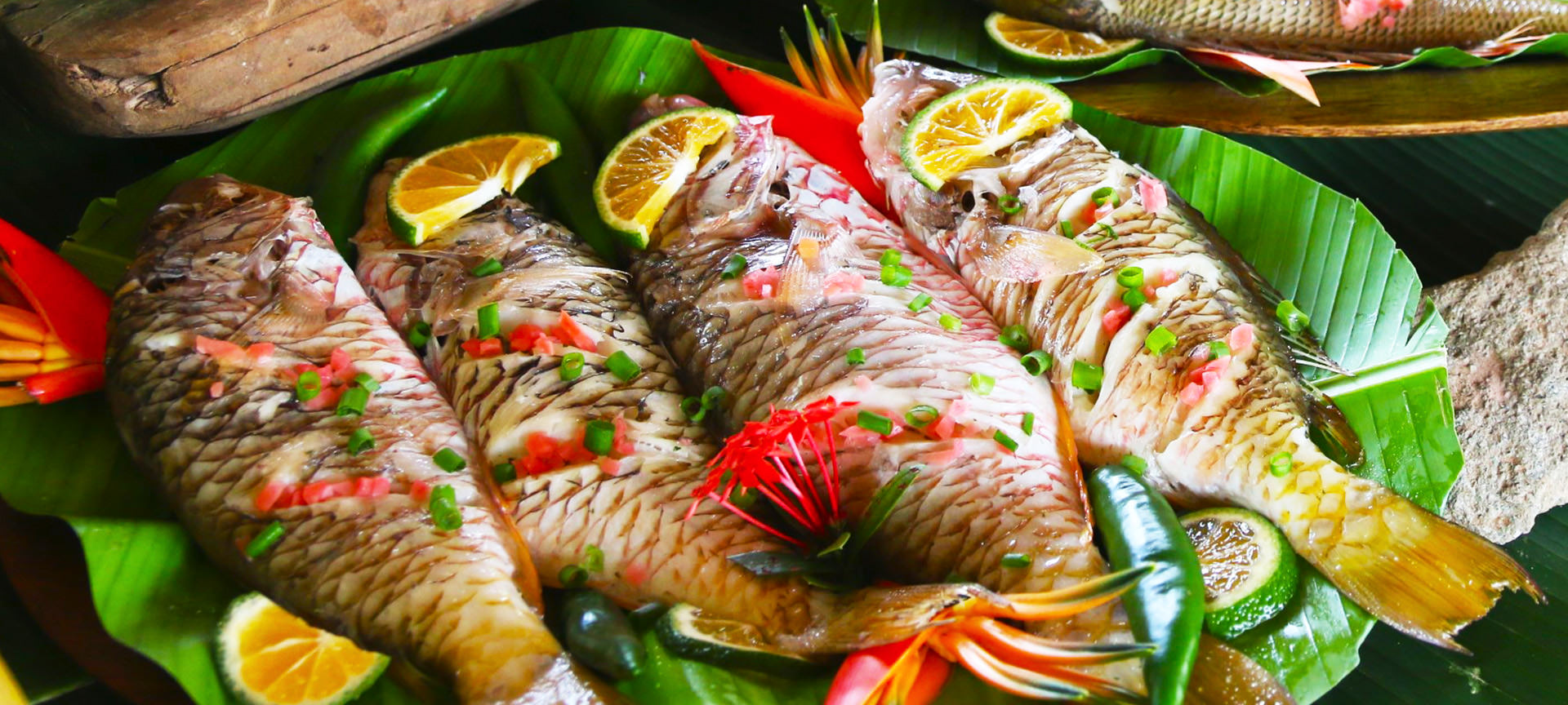 Pristine Paradise Palau | Official Tourism Office of Palau Micronesia